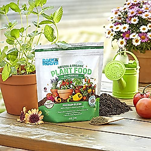 Back to the Roots All-Purpose Plant Food - Organic, Sustainably-Made for Indoor Plants with Kelp and Alfalfa Meal, Mycorrhizae, and Rock Phosphate Minerals - 1.5 lb Premium Blend