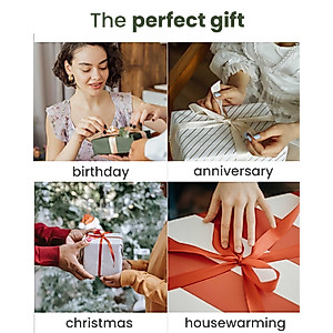 Knife Sharpener for Serrated & Steel Blades - Portable & Adjustable Kitchen, Camping Tool with Ergonomic Handle, Anti-Slip Pads - Suits Most Blade Types, Efficient Pull-Through Sharpening System