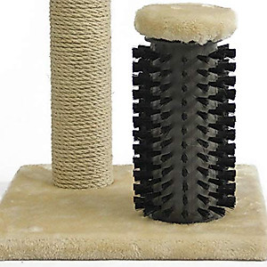 Amazon Basics Cat Scratching Post with Brush for Indoor Cats, 12.2 x 12.2 x 16.54 inch for Kittens, Beige