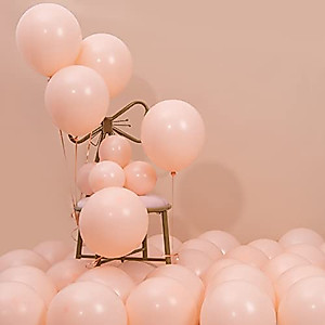 MOMOHOO Pastel Orange Balloons Arch- 120Pcs 18/12/5 Inch Light Orange Balloons Different Sizes, Macaron Balloons Peach Blush Balloons Garland Kit, Easter Balloons Birthday/Baby Shower/Fall Balloons