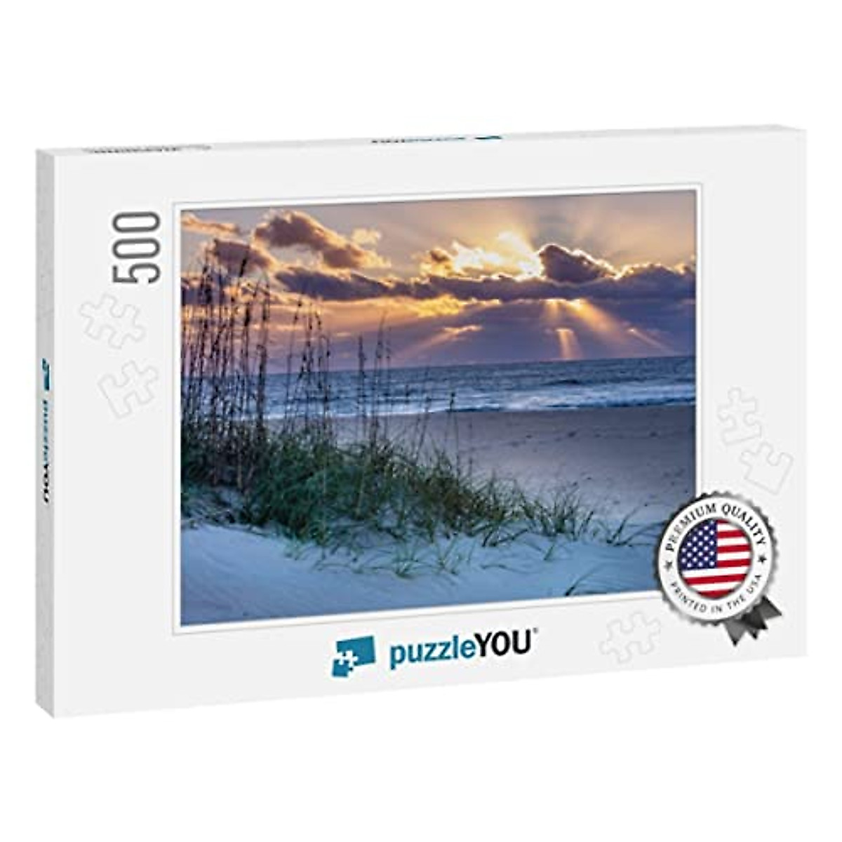 Frisco, North Carolina - 18 November 2020 Rays Filter THR. Jigsaw Puzzle Jigsaw Puzzle with 500 Pieces