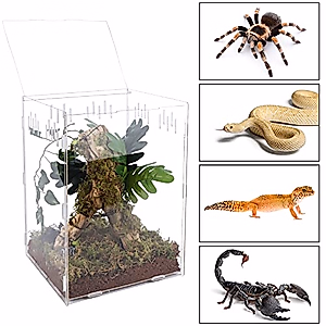 winemana Reptile Terrarium Aquarium Breeding Tank, 14.5" x 10.5" x 10" Acrylic Tarantula Enclosure Feeding Box Insect Habitat for Tarantula Spider Snake Lizard Hermit Crab Insect