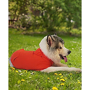 Kickred 2 Pieces Basic Cotton Dog Hoodie Sweater, Soft Pet Clothes Dog Sweatshirts, Dog Outfit Coat Pullover with Pocket and Leash Hole for Small Medium Large Dogs, L