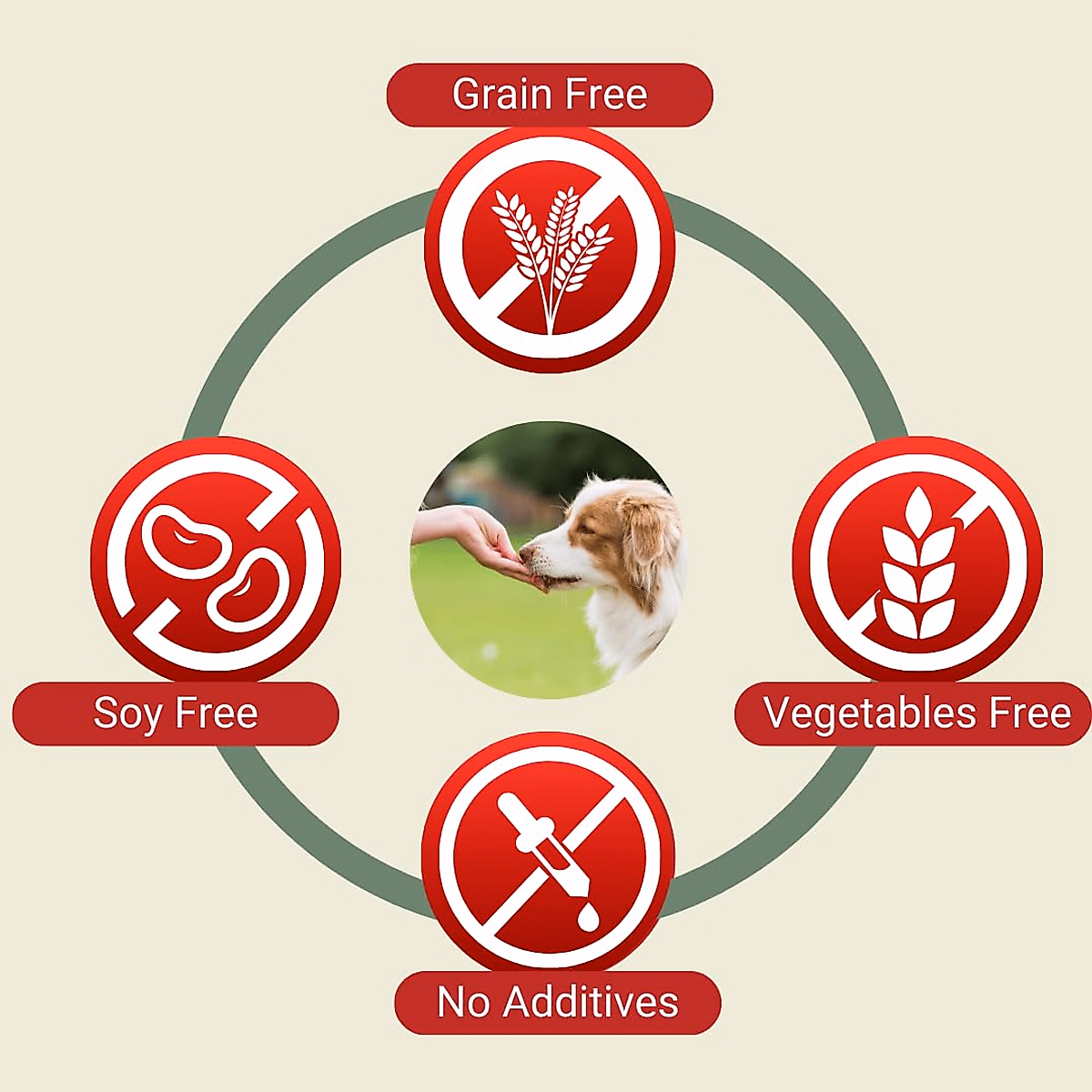 My Pet Carnivore Duck Feet for Dogs All Natural Dog Chew Single Ingredient Dehydrated Duck Feet Without Nails Strengthens Muscles, Immunity, and Digestion (10 PCs)