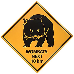 Beistle 54306 Outback Road Sign Cutouts-4 Pcs, 14'' 13'' .1'', Yellow/Black