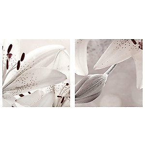 artgeist Acoustic Canvas Wall Art Lilies Flower 35x24 in - 1pcs Picture with Acoustic Foam Sound Print Artwork Room Acoustics Soundproofing Nature Botanical Plant b-C-10285-b-a