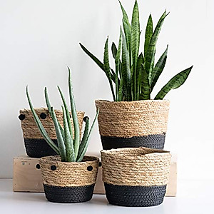 Foreside Home and Garden Natural Set of 2 Small Black Cattail Decorative Storage Baskets