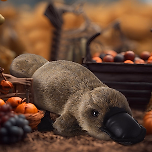 HyDren 2 Pcs Duckbill Stuffed Animal 12 Inch Duckbill Soft Plush Pillow Duckbill Toy Stuffed Duckbill for Kids