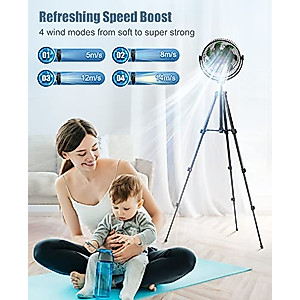 10000 mAh Pedestal Fan with 8.5'' Frame, 4 Speeds Air Circulator Fan, Portable Desk Fan with Adjustable Height, Max 38 H, Rechargeable Standing Fan, Included A Hook, Quiet for Home, Office, Outdoor