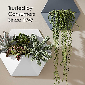 1/2 pt Krylon K05613007 Black COLORmaxx Paint & Primer, Satin