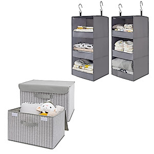 GRANNY SAYS Bundle of 2-Pack Hanging Organizer for Closet & 2-Pack Closet Storage Bins