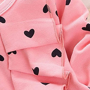 Cute Toddler Baby Girls Clothes Set Long Sleeve T-Shirt and Pants Kids 2pcs Outfits (Pink2, 2-3 T)