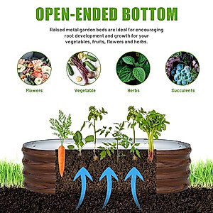 SnugNiture Galvanized Raised Garden Bed, 4x2x1ft Oval Metal Planter Box for Planting Outdoor Plants Vegetables