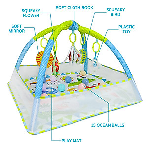 Dr.Rapeti Baby Play Gym Mat with Ball Pit Activity Gym Center Tummy Time Mat Thickened Mat Sensory Exploration Motor Skill Development for Newborn Infant Baby Toddlers