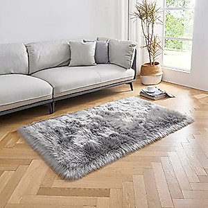 Rainlin Ultra Soft Fluffy Faux Fur Area Rugs for Bedroom Living Room Grey Fuzzy Washable Home Decor Carpets Luxury Plush Shag Rectangular Rugs,3x5 Feet