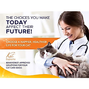 KatSupreme Tilted Cat Food Bowls - Raised Cat Food Bowls, Anti Vomiting Cat Bowl Set, Stainless Steel Cat Bowls with Stand, Orthopedic Cat Bowl, Elevated Cat Bowls Set