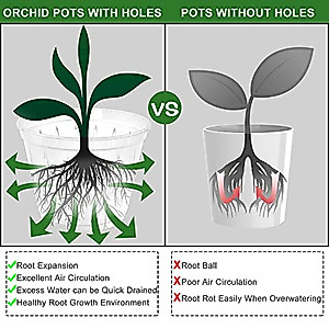 Kitypartsy Orchid Pot, 5 Inch 6 Pack Orchid Pots with Holes and Saucers, Clear Plastic Orchid Pots