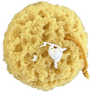 Michelle's Melting Pot Exfoliating Foam Sea Sponge, Natural Feel, Shower Loofah, Bath Sponge, Rich Lather (Set of 3)