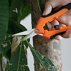 HOMEANING Gardening Shears Combination Set, Blades Gardening Hand Pruning Snips Titanium Coated Precision Bonsai Pruning Shears, Convenient and Efficient Flower Cutters 2PCS (Blue, Orange)