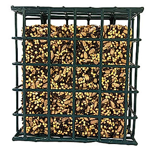 Songbird Treats Seed Bars | 12 Pack of 7 oz Bird Seed Cakes for Wild Birds (Sunny Mealworm)