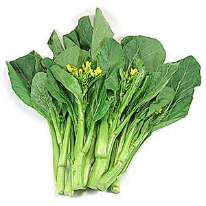1000Pcs Choy Sum Yu Choy Chinese Flowering Cabbage Seeds