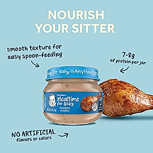 Gerber Baby Foods 2nd Foods Meat, Turkey & Gravy, Mealtime for Baby, 2.5 Ounce Jar (Pack of 10)