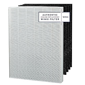 Genuine Winix 113250 Replacement Filter E for P450, White/Black