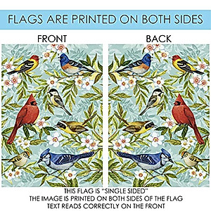 Toland Home Garden 112582 Bird Collage Bird Flag 12x18 Inch Double Sided Bird Garden Flag for Outdoor House Flag Yard Decoration