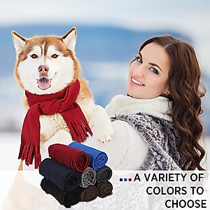 Handepo 48 Pack Winter Scarves Warm Winter Tassel Scarf Bulk Wrap Long Shawl Scarf for Women and Men Unisex (Retro Colors)