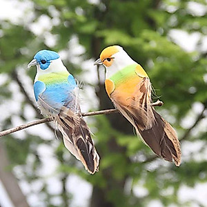 Hvogvok 12 Pcs Simulated Birds Ornament Beautiful Animal Bird Decor Animal Statues Tree Lawn Home Garden Decoration