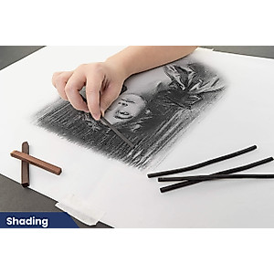 Pacific Arc Artist Vine Charcoal, Soft, Black 4 Charcoal Sticks for Drawing, Sketching, and Fine Art