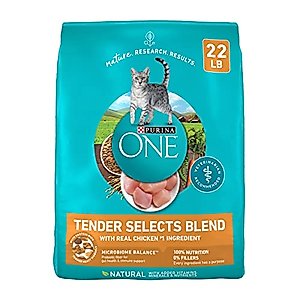 Purina ONE Natural Dry Cat Food, Tender Selects Blend With Real Chicken - 22 lb. Bag