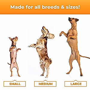 VETRISCIENCE Glycoflex 3 Clinically Proven Hip And Joint Supplement With Glucosamine For Dogs, 120 Chews - Vet Recommended Mobility Support Supplement With DMG, MSM, And Perna