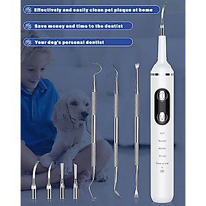 NATURE NERDS Plaque Remover for Teeth, Pet Tooth Brushing Kit, Dental Tools to Remove Plaque and Tartar, Safe for Dog and Cat, with LED Light, White
