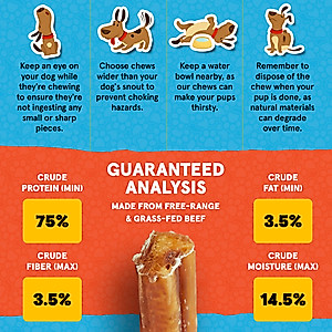 FETCHERONI Large Bully Sticks for Dogs - 100% Beef Tasty Natural Flavor - Fully Digestible Dog Chews - Long-Lasting chewing sticks - Bully Sticks Odor Free for Medium and Large Dogs (12 Inch, 10 Pack)