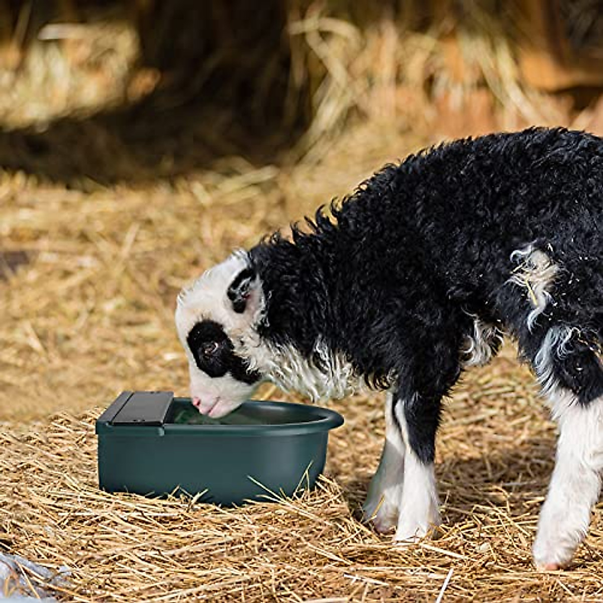 GOTOTOP Automatic Waterer Bowl, Large 4L Automatic Pet Waterer Float Valve Water Trough Livestock Drinking Bowl for Cat Sheep Dog Horse Farm Supplies