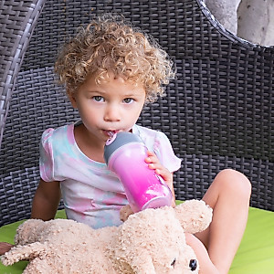 Chicco Insulated Flip-Top Spill-Free Straw Sippy Cup 9oz Pink/Purple (2pk)