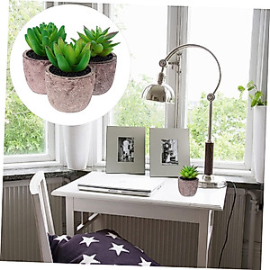 WOONEKY 1 Set 3 Pcs Succulent Bonsai Faux Succulents Potted Plastic Succulents Plants Various Faux Succulents Home Decor Artificial Plant Fake Succulent Mini False Cactus Pulp Basin Office