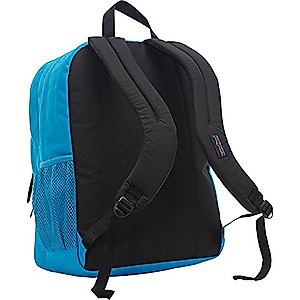 JanSport Big Student Backpack- Sale Colors (Black/White Zebra Stripe)