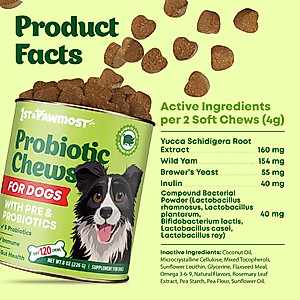 Dog Probiotic Chews - 120 pcs