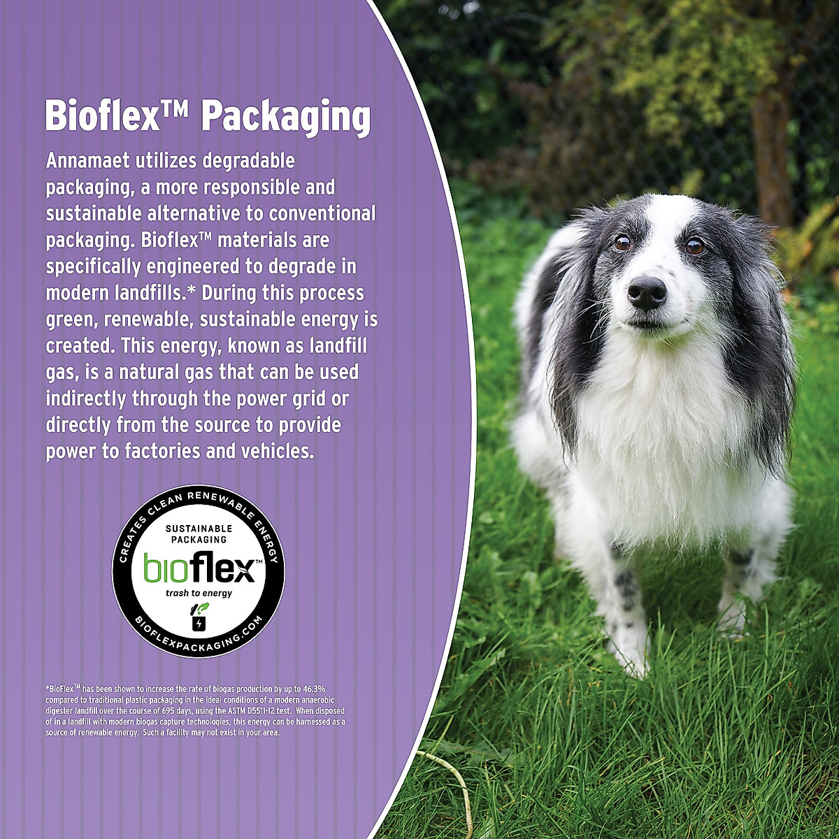 Annamaet Original Option Formula Dry Dog Food, 24% Protein (Salmon & Brown Rice), 5-lb Bag