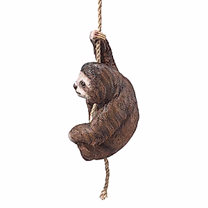 Design Toscano Hanging Horatio The 3-Toed Sloth Statue
