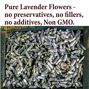 The Spice Way Lavender Flowers - (2 oz) dried flower buds for tea and culinary use