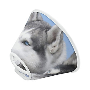 Siberian Huskies Soft Dog Cone Collars Protective Adjustable Cat Recovery Collar to Stop Licking L