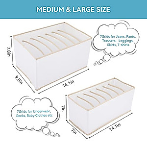 HIPTIS Folded Clothes Organizer, 2PCS Clothing Organizer for Folded Clothes Closet Drawers Wardrobe Clothes Organizer and Storage for Bedroom Organizer for Closet Jeans, Pants, socks, Bra M+L