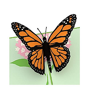 Lovepop Butterfly Pop Up Card, 5x7-3D Greeting Card, Mother's Day Card, Card for Wife or Mom, Anniversary Pop Up Card, Pop Up Birthday Card
