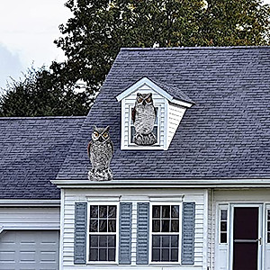 KKY 2 Packs Fake Plastic Owl Bird, Garden owl Statue,Can Repel Pigeons Away from The House, Garden, Pool.