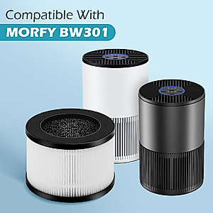 XBWW 2 Packs BW301 Replacement Filters Compatible with MORFY BW301 and AGILEBOW BW301 Air Cleaner Purifier, 3 in 1 filter with H13 True HEPA and Activated Carbon FIlter with Extra 4 Pieces Aroma pads