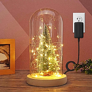 Lenink AC Power Supply Adapter for 4 AA Battery, AA Battery Replacement for LED Light, Decorations (Black, 1.8m/5.9ft)