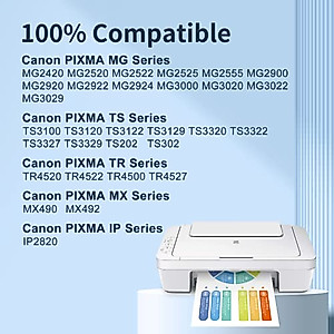 245XL 246XL Black and Color Combo Pack Ink Cartridges Replacement for Canon Ink 245 246 PG-245XL CL-246XL Works with Canon Pixma MG2522 TR4520 MX490 TS3322 MX492 TS3122 MG2500 TR4500 TR4522 Printers